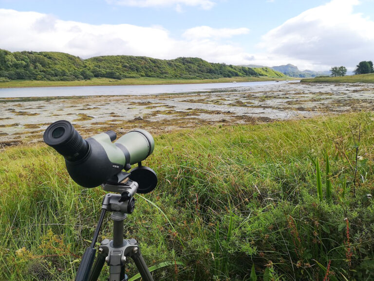Services - Lakeland Ecology